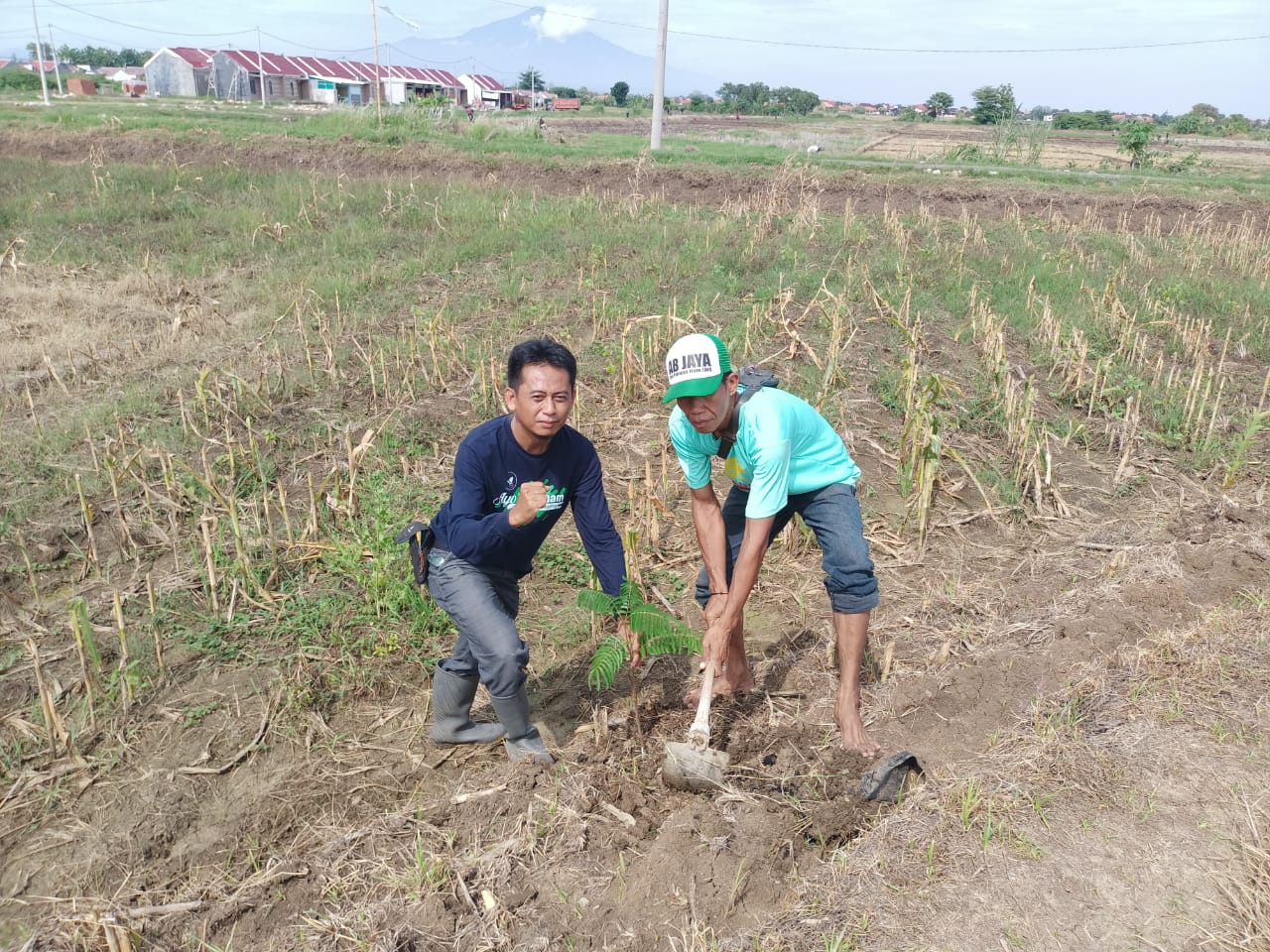 Informasi Penanaman Pohon - Sistem Informasi Pemantauan, Penanaman dan ...