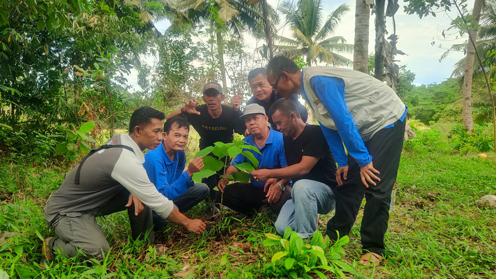 Informasi Penanaman Pohon - Sistem Informasi Pemantauan, Penanaman dan ...