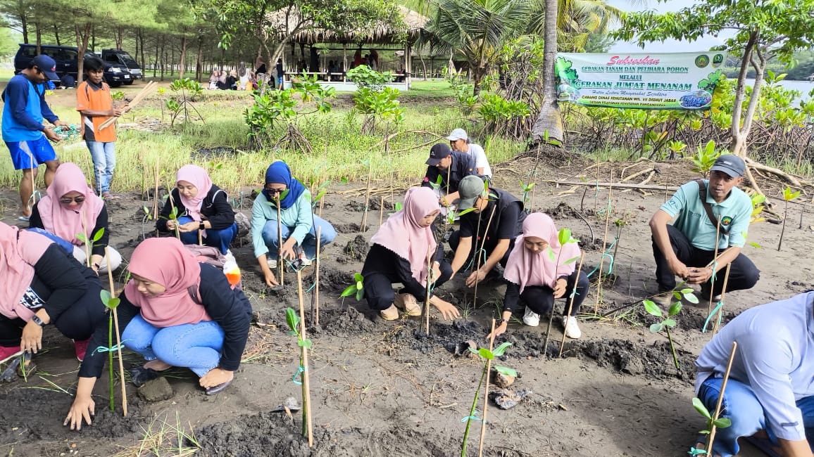 Informasi Penanaman Pohon - Sistem Informasi Pemantauan, Penanaman dan ...